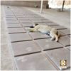 Saltillo Tile Paw Prints | Explore Mexican Tiles with Animal Prints